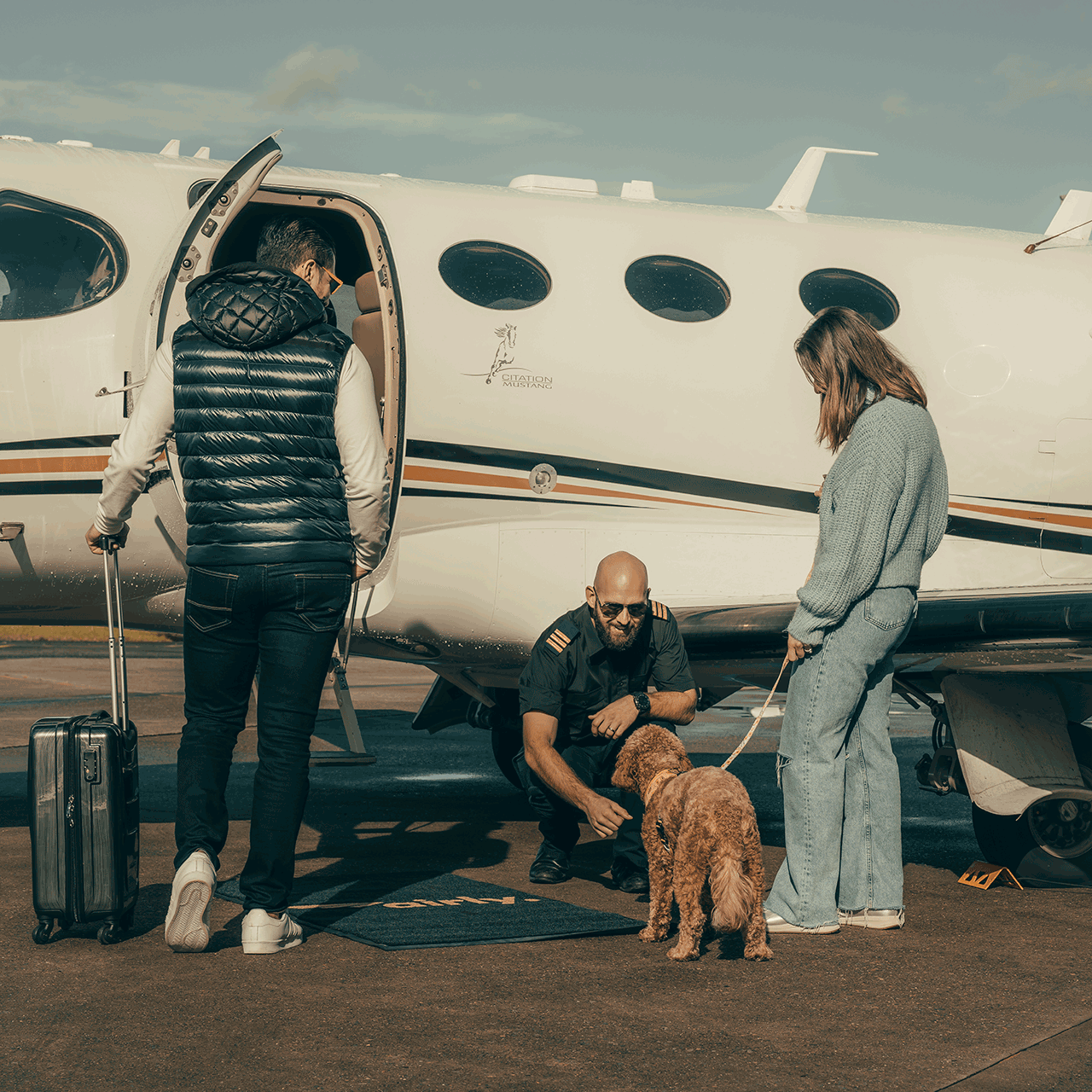 Airlines believe your pet and luggage are one and the same - Airly